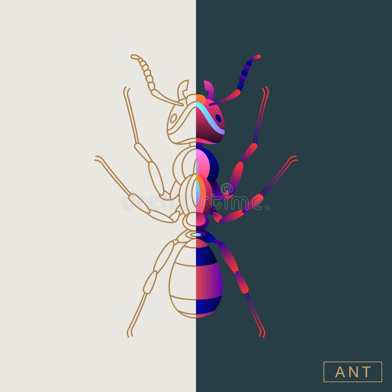 Abstract Insects Illustration Stock Vector - Illustration of graphic ...