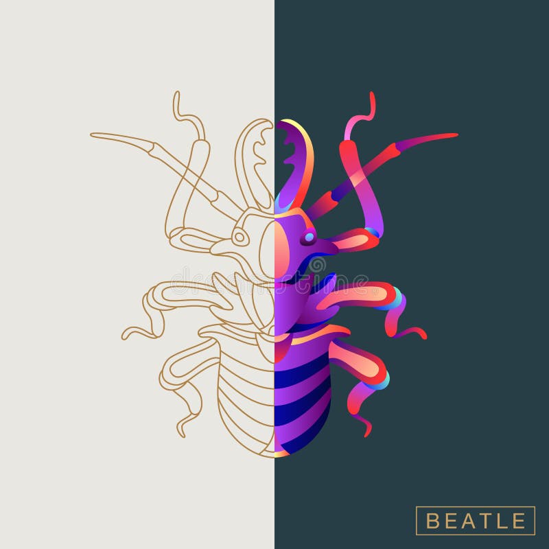 Abstract Insects Illustration Stock Vector - Illustration of ...