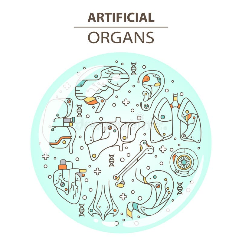 Artificial organs poster stock vector. Illustration of poster - 79709181