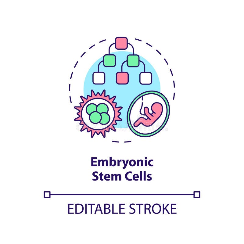 Thin Line Simple Colorful Embryonic Stem Cells Icon Concept Stock ...