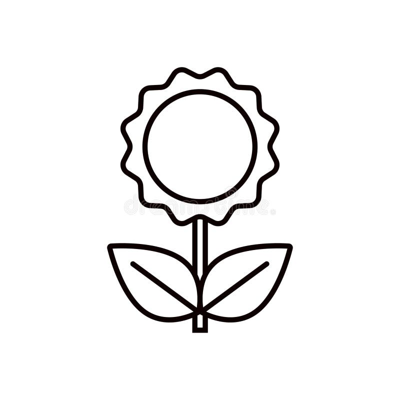 Sunflower Outline, Sunflower Line Art, Floral Line Drawing Stock Vector ...