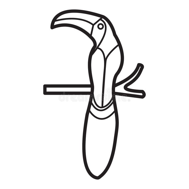 Thin line toucan stock vector. Illustration of bird - 257921491
