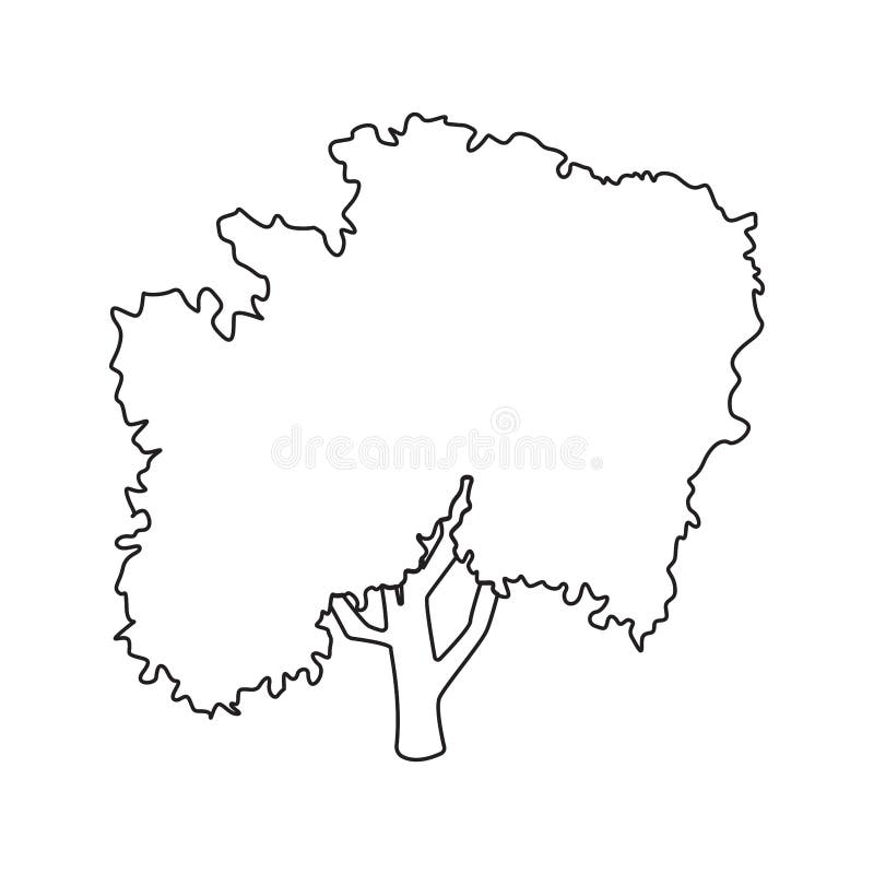 Thin line tree stock vector. Illustration of line, flat - 262077948