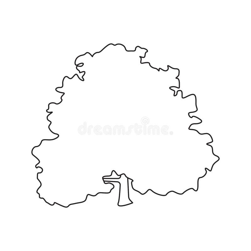 Thin line tree stock vector. Illustration of tree, line - 262077983