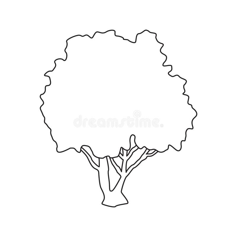 Thin line tree stock vector. Illustration of logo, thin - 262077996