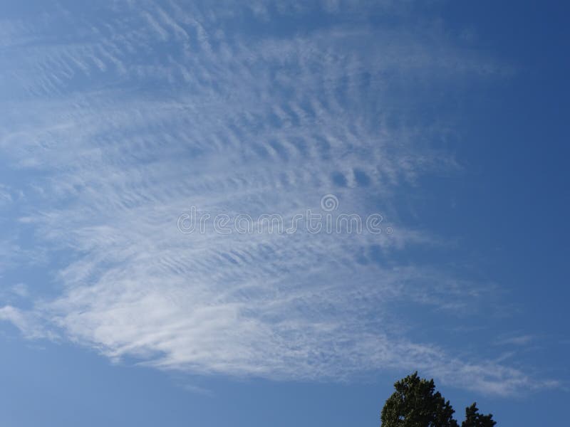 Many Rows of Thin Clouds in the Sky Stock Photo - Image of climate ...