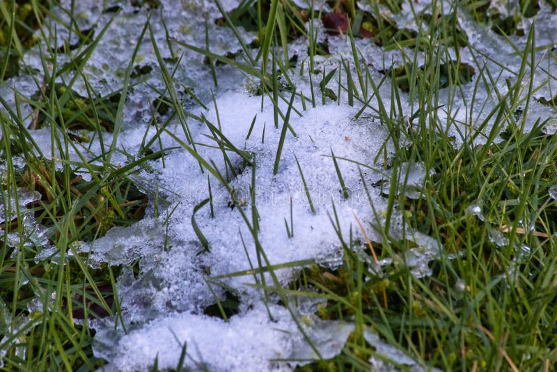 Thin Layer of Snow Over Short Grassy Lawn Stock Image - Image of lawn ...