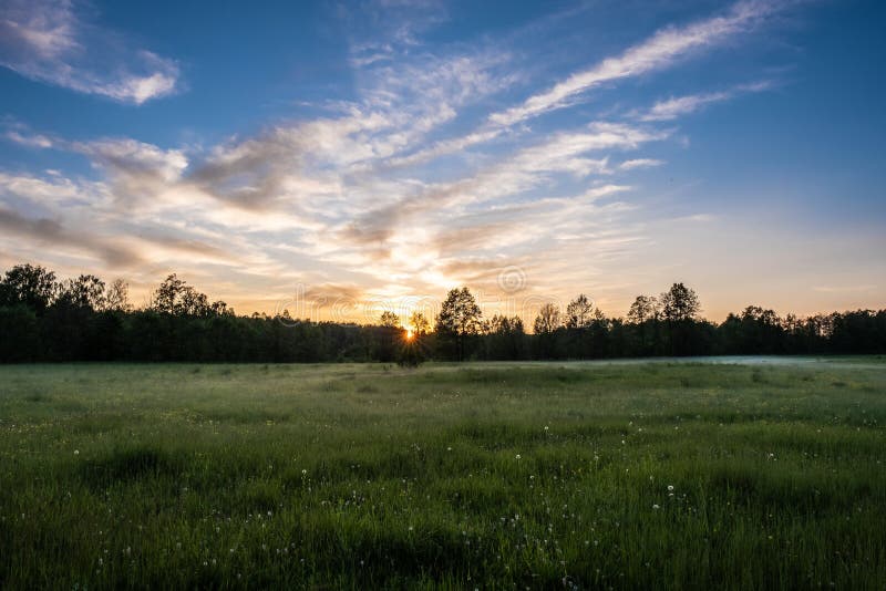 The Thin Rays of the Setting Sun Against a Narrow Strip of Forest Stock ...
