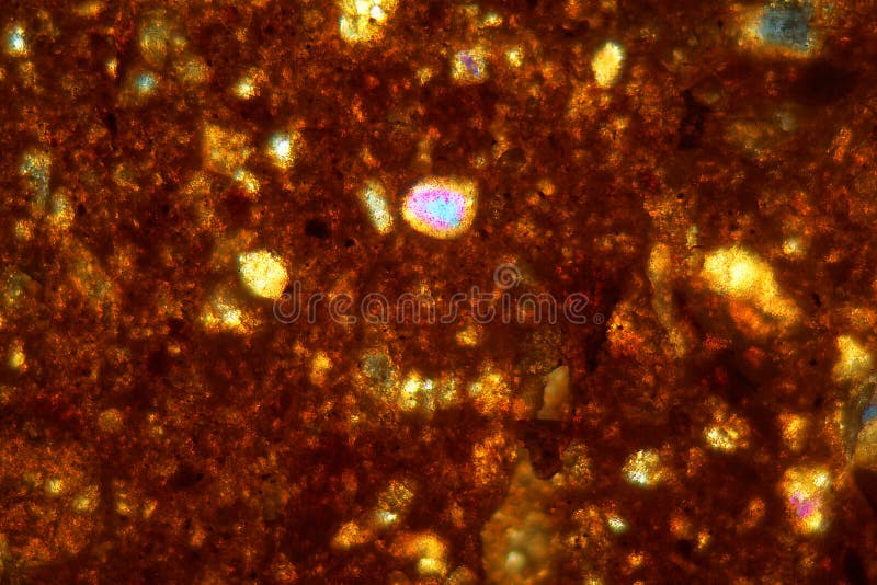 499 Thin Section Microscope Stock Photos - Free & Royalty-Free Stock ...