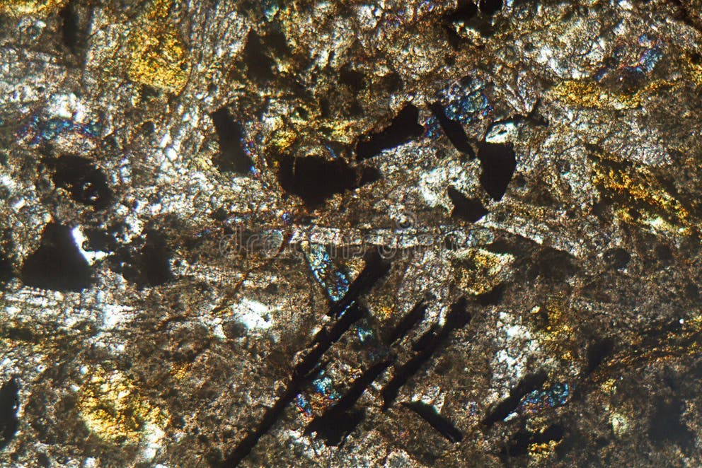 Thin Section of a Diabase Rock Under the Microscope and in Polarized ...