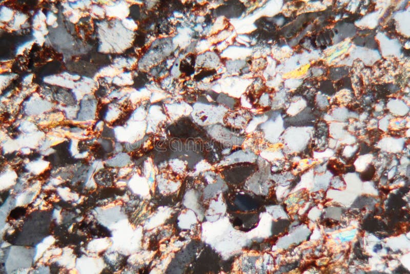 Thin Section of a Fine Grained Sandstone Under the Microscope and in ... Thin Section of a Fine Grained Sandstone Under the Microscope and in ...
