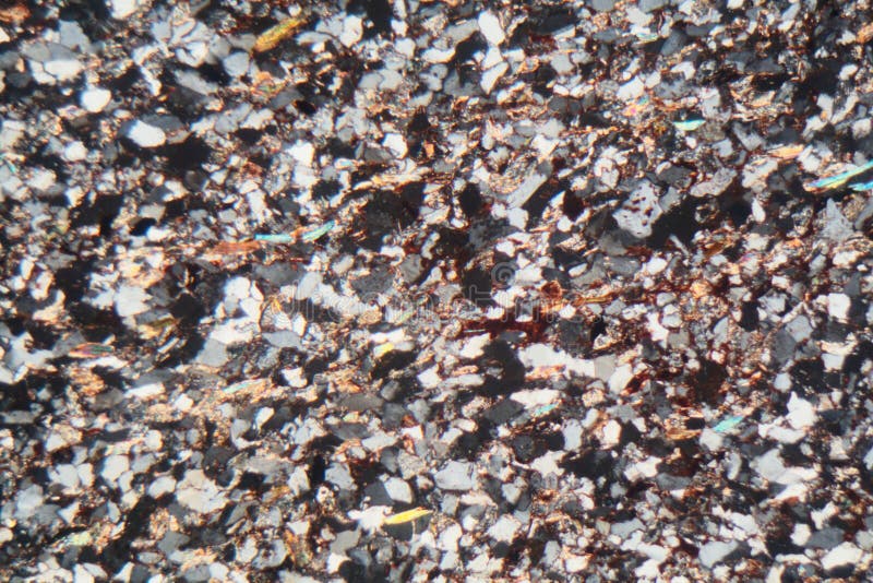 Thin Section of a Fine Grained Sandstone Under the Microscope and in ...