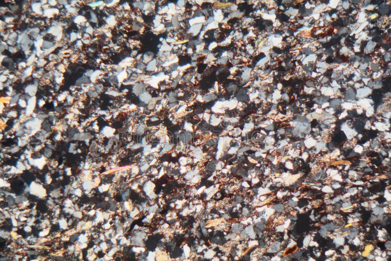 Thin Section of a Fine Grained Sandstone Under the Microscope and in ... Thin Section of a Fine Grained Sandstone Under the Microscope and in ...