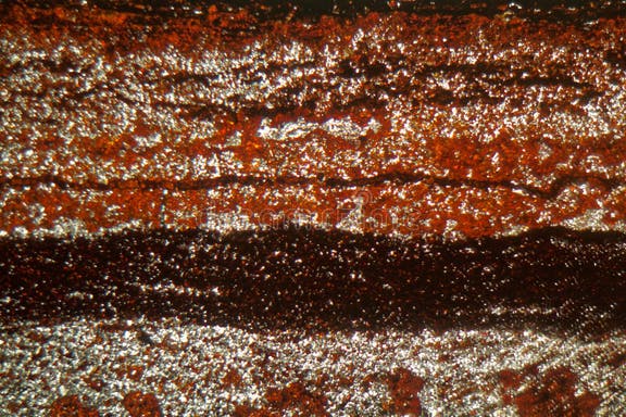 Thin Section of Iron Ore Under the Microscope Stock Image - Image of ...