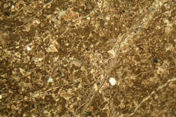 Thin Section of Limestone Under the Microscope Stock Image - Image of ...