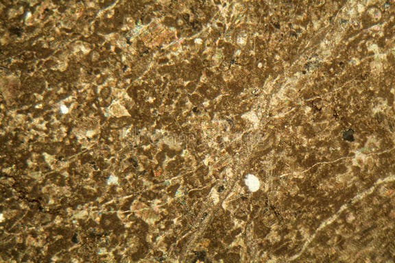 Thin Section of Limestone Under the Microscope Stock Image - Image of ...