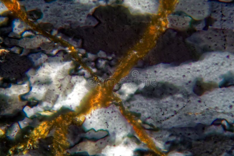 Thin Section of a Fine Grained Sandstone Under the Microscope and in ...