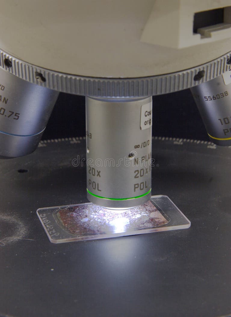 1,114 Microscope Stage Stock Photos - Free & Royalty-Free Stock Photos ...