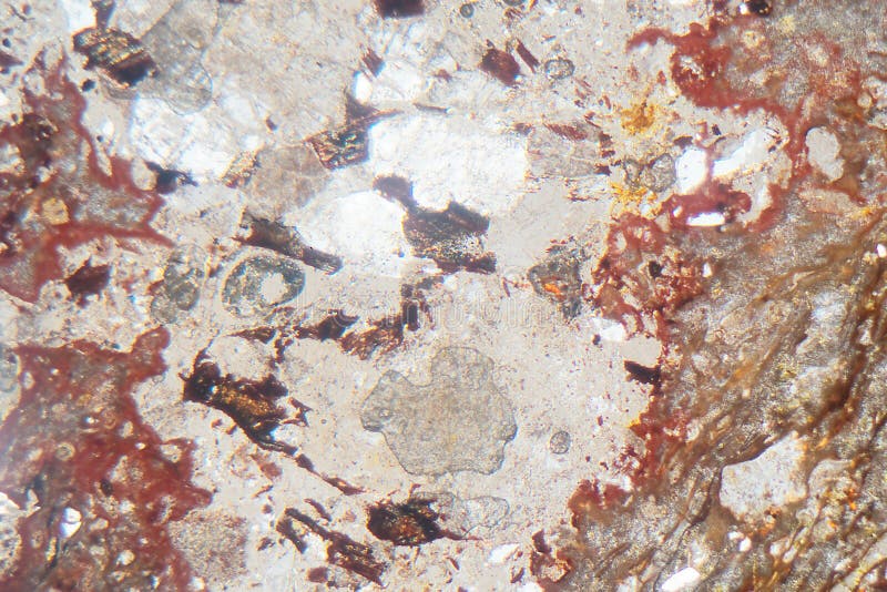 Thin Section of Suevite Rock Under the Microscope and in Polarized ...