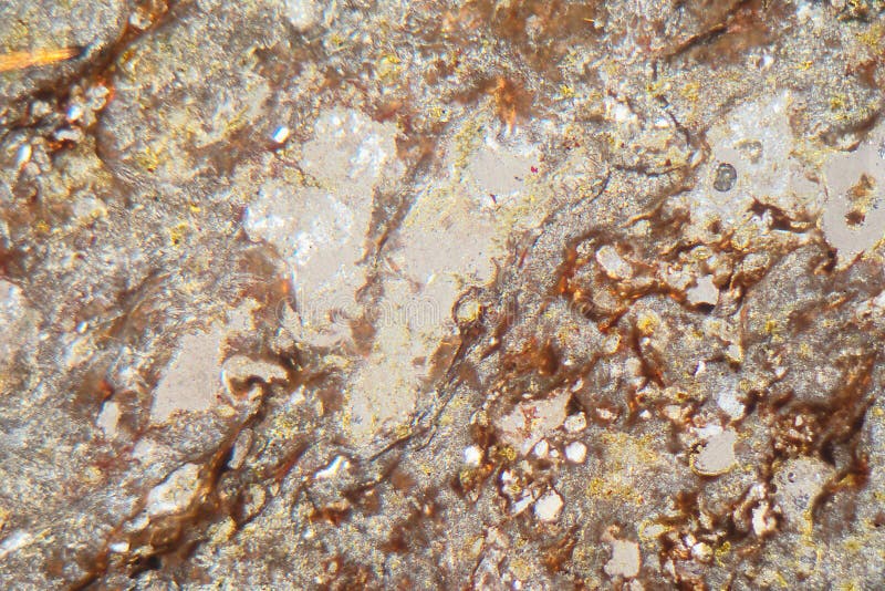 Thin Section of Suevite Rock Under the Microscope and in Polarized ...