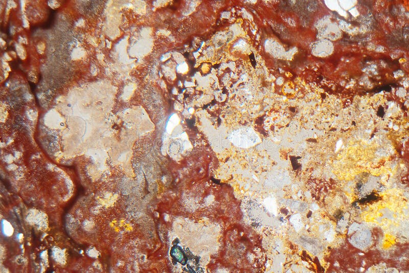 Thin Section of Suevite Rock Under the Microscope and in Polarized ...