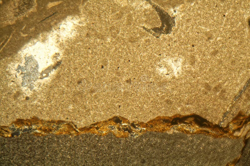 Thin Section of Triassic Carbonate Under the Microscope Stock Image ...
