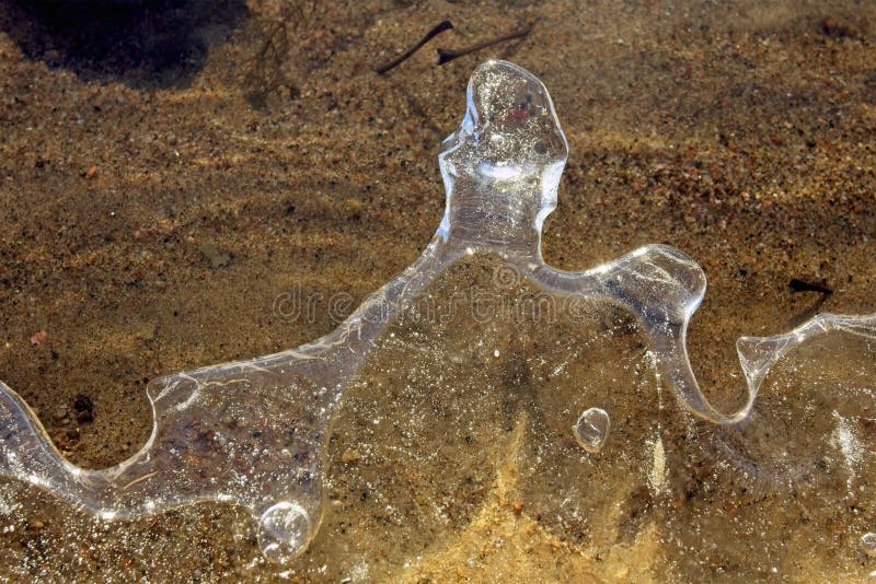 Thin Sheet of Clear Ice on Lake Shore, Finland Stock Image - Image of ...