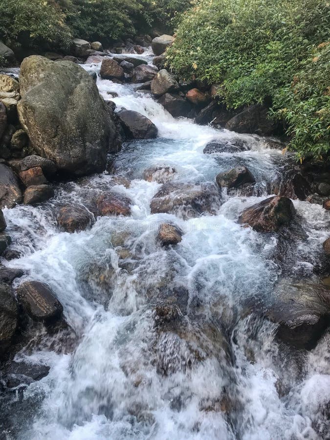 Water Stream / Waterfall in a Jungle Stock Image - Image of stream ...