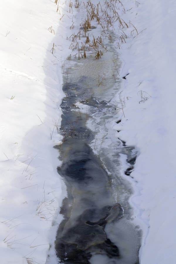 Thin stream stock photo. Image of frost, winter, light - 223608496