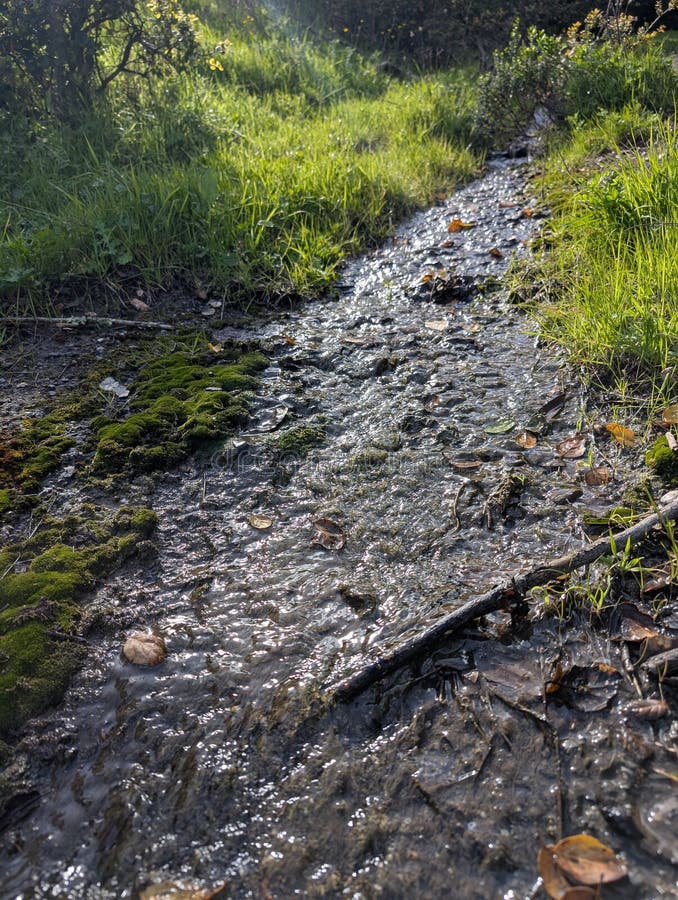 Thin Stream of Water Flowing Downwards Stock Image - Image of ...