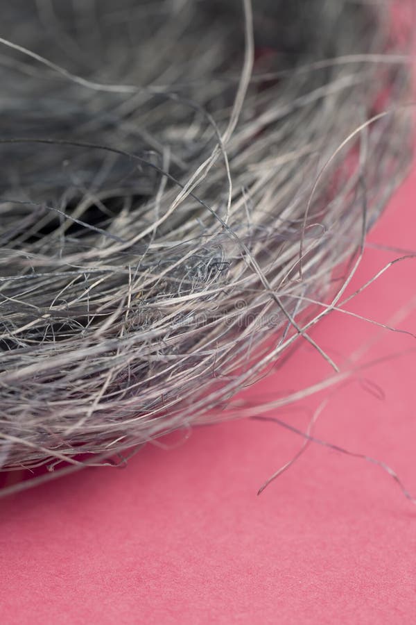 Thin Threads without a Needlework Mold Stock Image - Image of craft ...