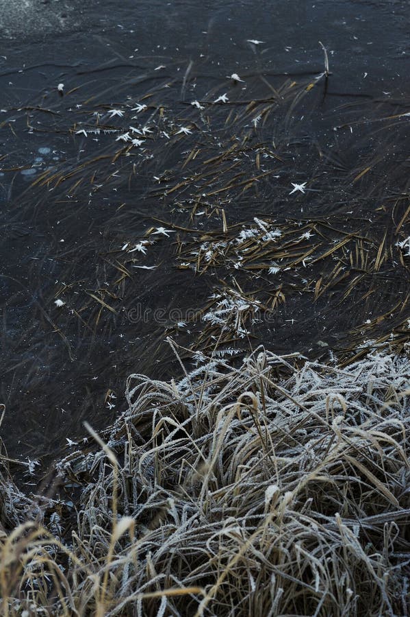 Thin Transparent Ice on the Surface of the Reservoir in Late Autumn ...