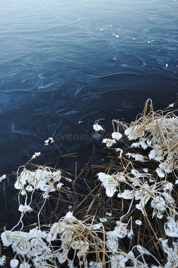 Thin Transparent Ice on the Surface of the Reservoir in Late Autumn ...