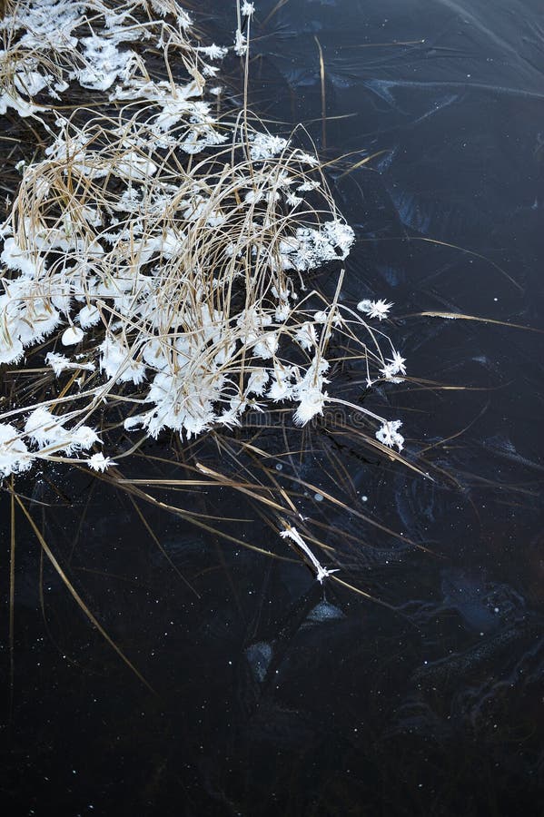 Thin Transparent Ice on the Surface of the Reservoir in Late Autumn ...