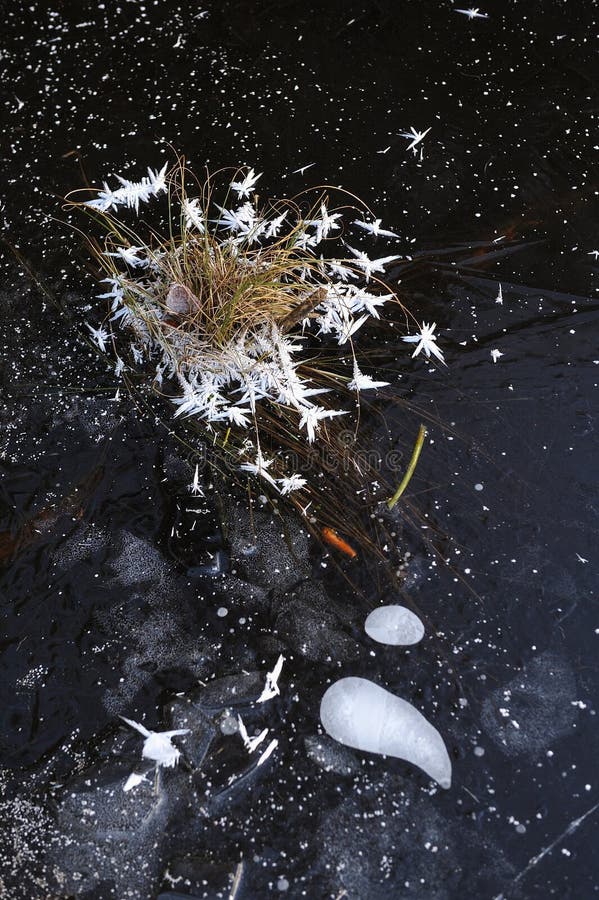 Thin Transparent Ice on the Surface of the Reservoir in Late Autumn ...