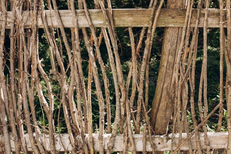 Rustic Branch Fence stock photo. Image of rustic, fence - 32580634
