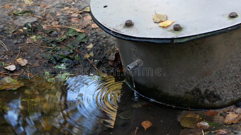 Thin Trickle of Water Spring in the Forest. Creating Water Points Stock ...