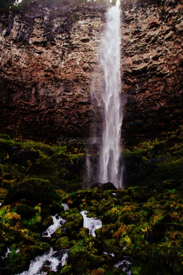 Waterfall Dripping Down Slope into Muddy Water with Fall Leaves and ...