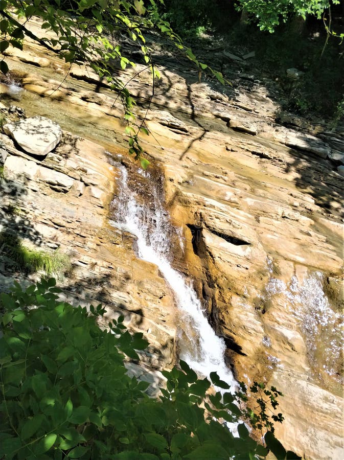 Waterfall in the Mountains with Plants Stock Photo - Image of flow ...