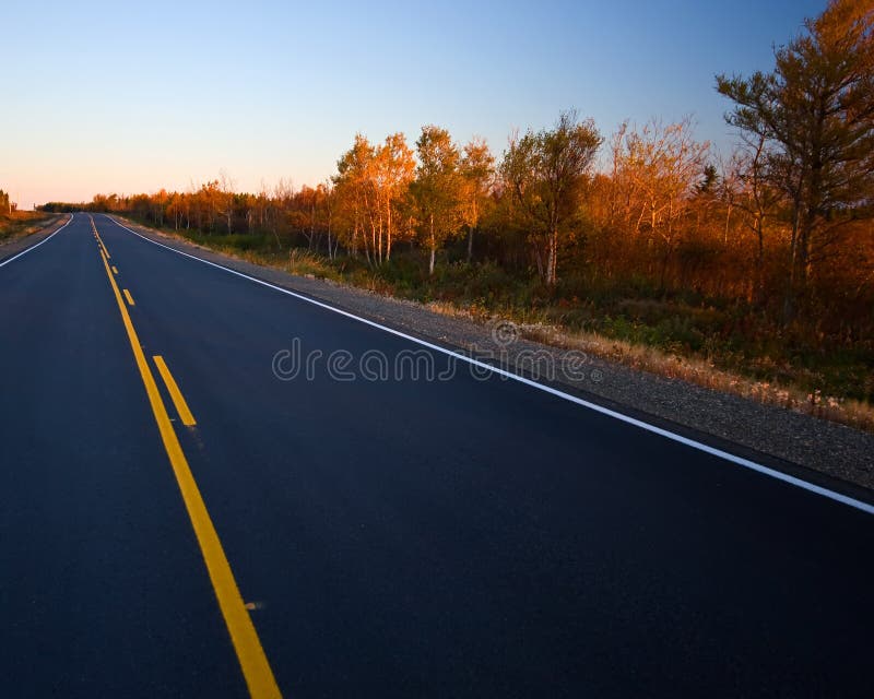 Thin Yellow Line stock image. Image of lonely, black - 10494037