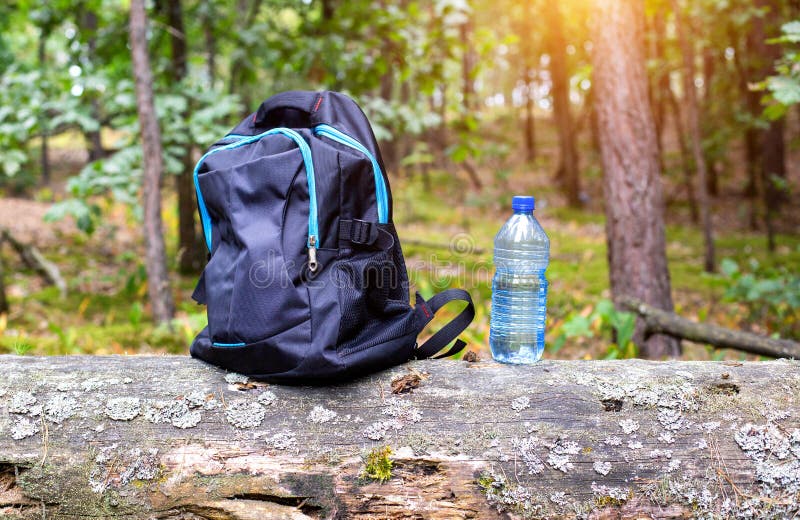 Things in a Backpack and a Bottle of Water are on a Tree in the Forest ...