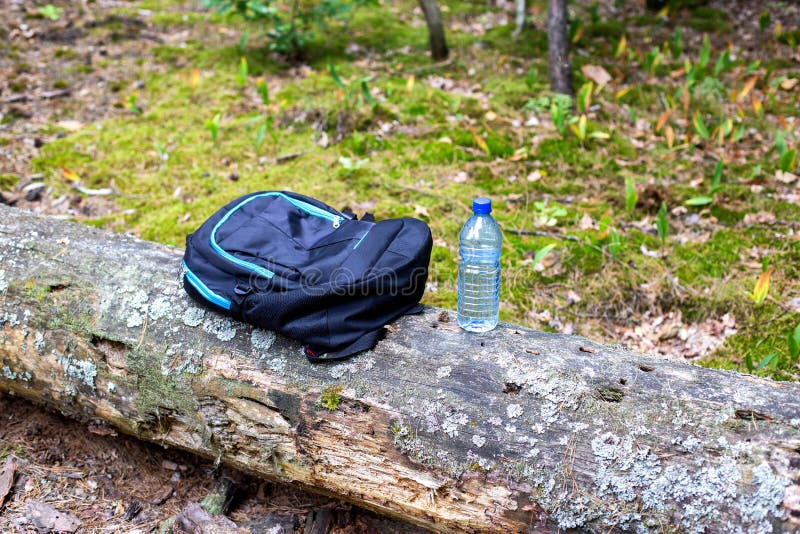 Things in a Backpack and a Bottle of Water are on a Tree in the Forest ...