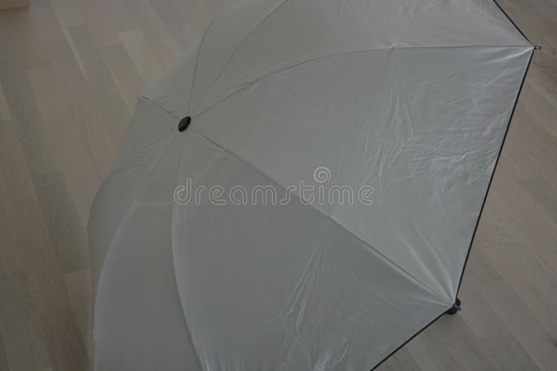 Light Gray Beige Umbrella with Black Lining and Black Handle Stands on ...