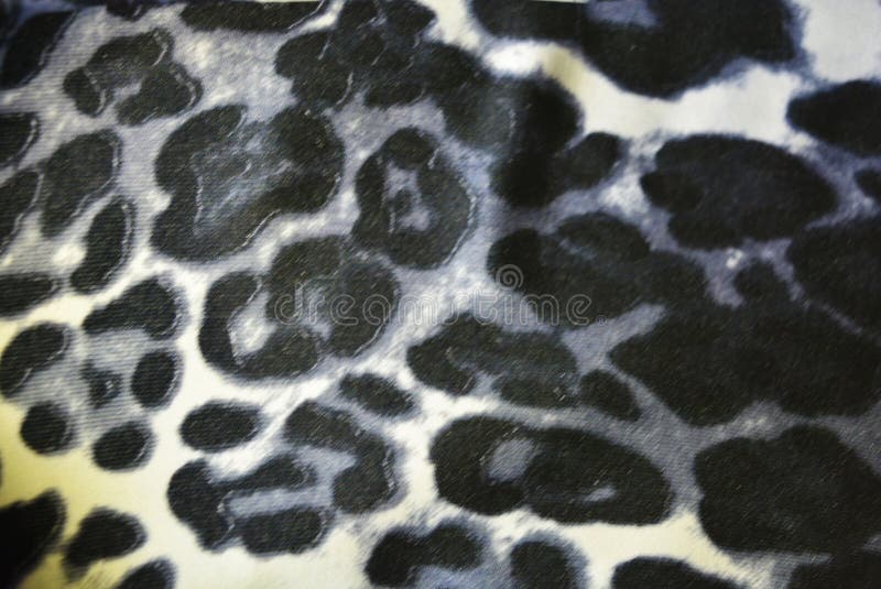 Things, Objects with Unusual. Beautiful Leopard Black and White Spots ...