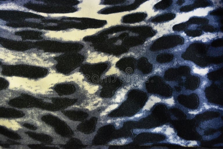 Things, Objects with Unusual. Beautiful Leopard Black and White Spots ...