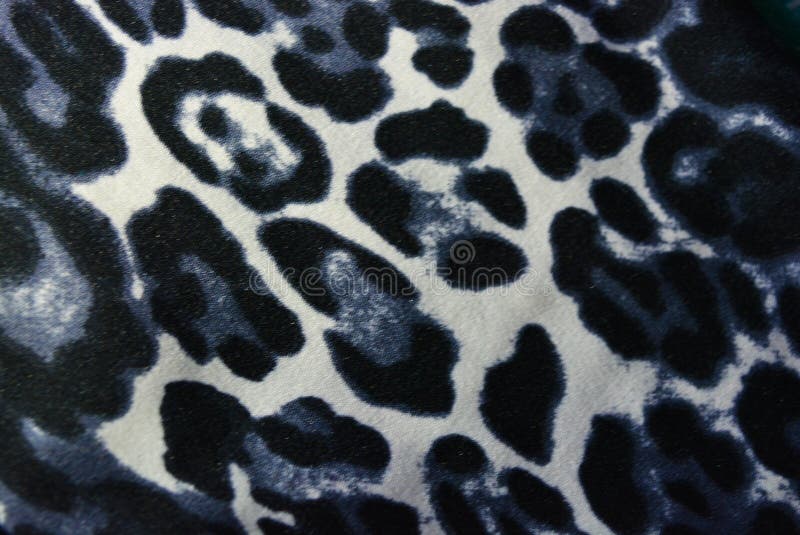 Things, Objects with Unusual. Beautiful Leopard Black and White Spots ...