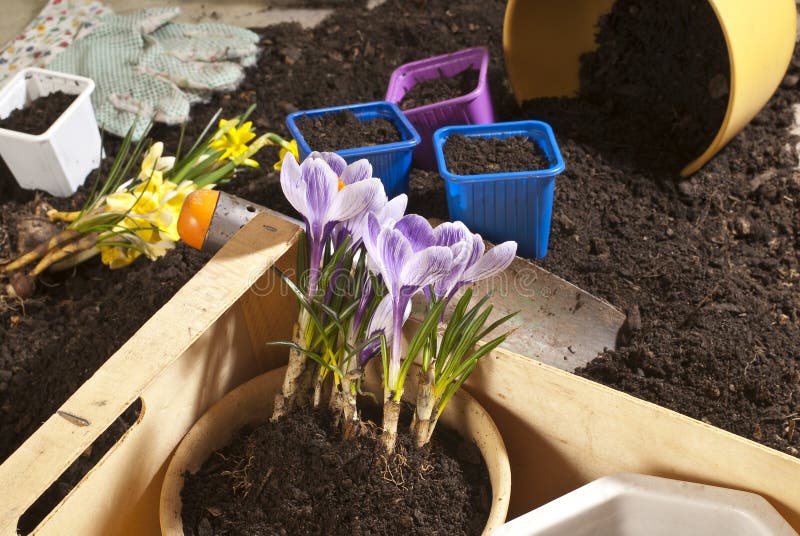 Things to planting flowers stock image. Image of nature - 85286117