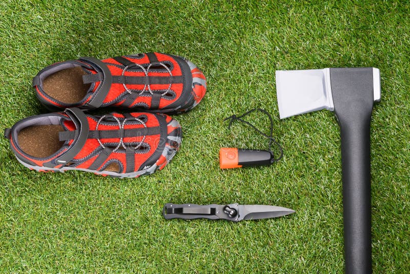 Things To Survive in Extreme Conditions in the Forest Stock Image ...