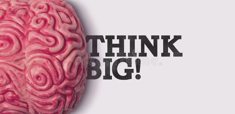 Think Big Word Next To a Human Brain Model Stock Image - Image of mind ...