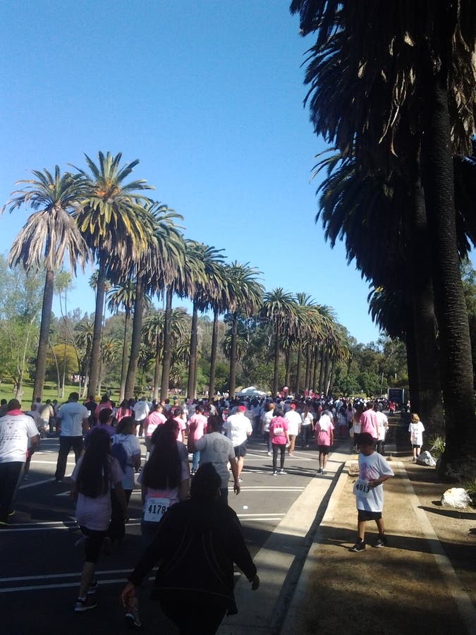 PINK WALK for a BIKE editorial image. Image of gente - 145354590